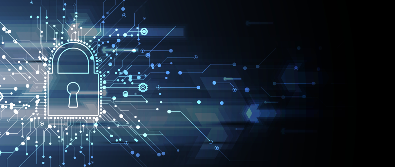Data Security Protocols | Appleton Partners, Inc.