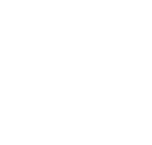 Appleton Partners, Inc. | Personalized Financial Planning